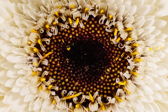 Ferbera Images – Browse 12 Stock Photos, Vectors, and Video | Adobe Stock