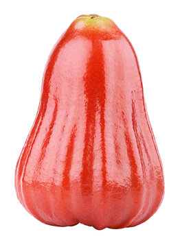 รูปภาพChambakka – เลือกดูภาพถ่ายสต็อก เวกเตอร์ และวิดีโอ2,370 | Adobe Stock