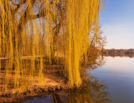 "Weide Bilder – Durchsuchen 1,649,044 Archivfotos, Vektorgrafiken und ...