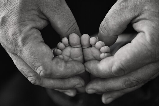 Fingerbreadth bilder – Bläddra bland 170,134 stockfoton, vektorer och ...