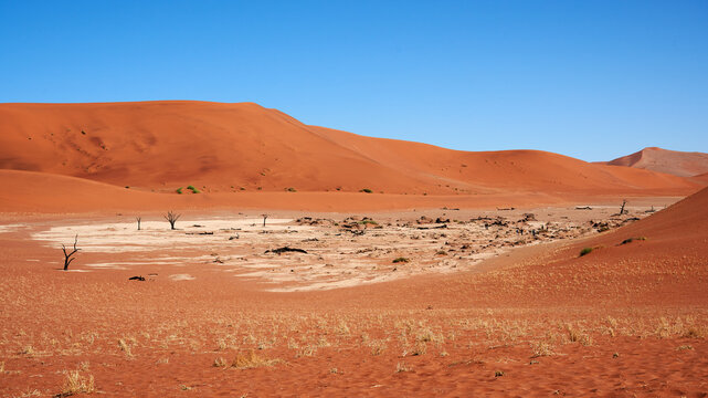 Foto, immagini, risorse di lucaar | Adobe Stock
