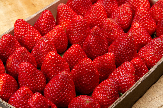 Picogramme Bilder – Durchsuchen 978 Archivfotos, Vektorgrafiken und ...