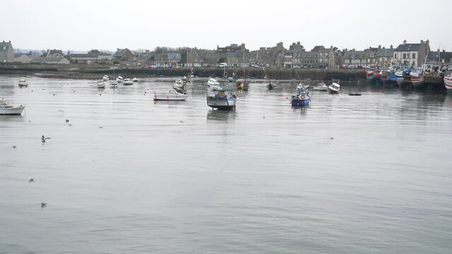 Barfleur bilder – Bläddra bland 1,004 stockfoton, vektorer och videor ...