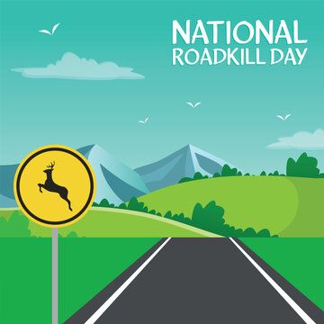 Roadkill Billeder – Gennemse 1,712 stockfotos, vektorer og videoer ...