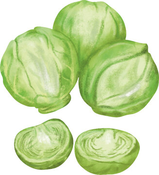 「Bussel」の写真素材 | 22件の無料イラスト画像 | Adobe Stock