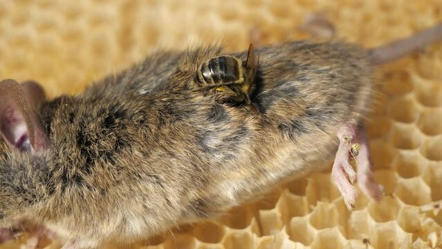 "Push Apart" - Images et vidéos libres de droits | Adobe Stock