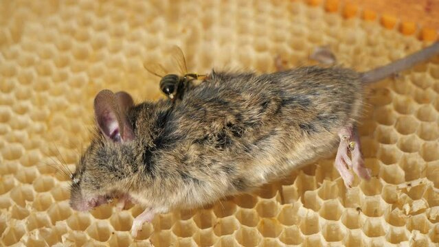 "Push Apart" - Images et vidéos libres de droits | Adobe Stock