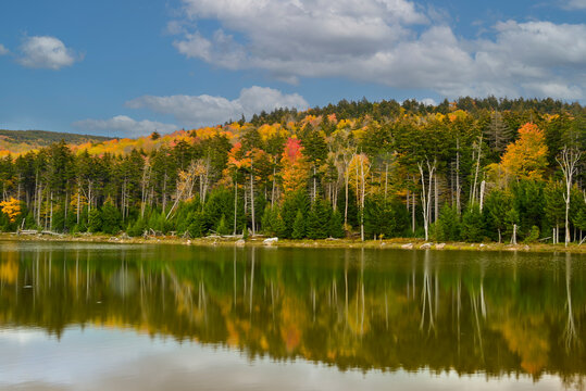 Lakei Images – Browse 13 Stock Photos, Vectors, and Video | Adobe Stock