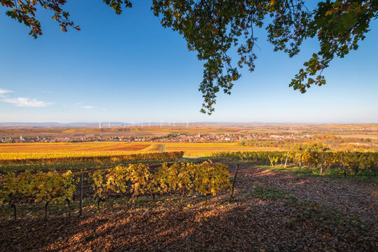 Flonheim bilder – Bläddra bland 224 stockfoton, vektorer och videor ...