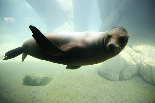 Inhospitable Images – Browse 116,615 Stock Photos, Vectors, and Video ...