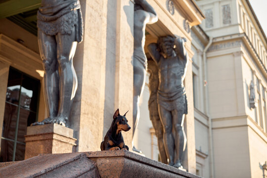Lebensstandard Bilder – Durchsuchen 12,262 Archivfotos, Vektorgrafiken ...