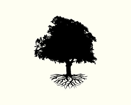 "Tree Of Life Vector" Images – Browse 20 Stock Photos, Vectors, and ...