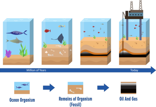 Oil Formation Diagram
