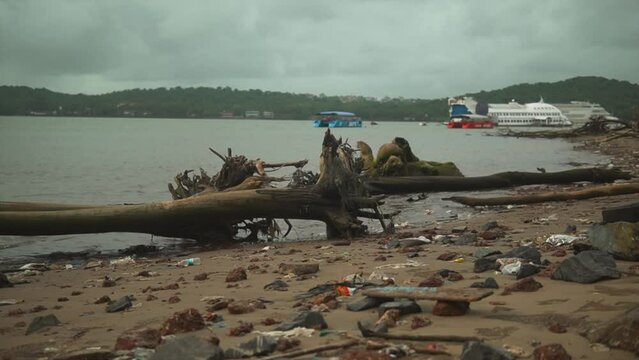 Unsustainable Images – Browse 2,395 Stock Photos, Vectors, and Video ...