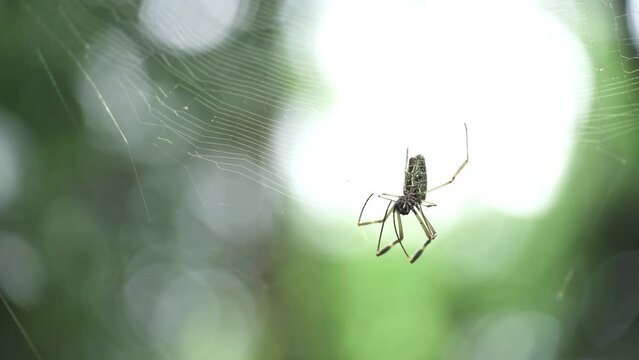 Extemporize Images – Parcourir 26,890 le catalogue de photos, vecteurs ...