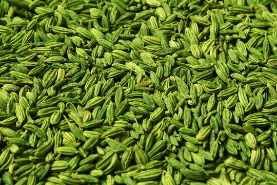 Imágenes de Variyali: descubre bancos de fotos, ilustraciones, vectores ...