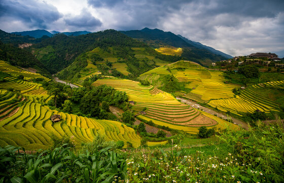 Cai Images – Parcourir 16,135 le catalogue de photos, vecteurs et ...