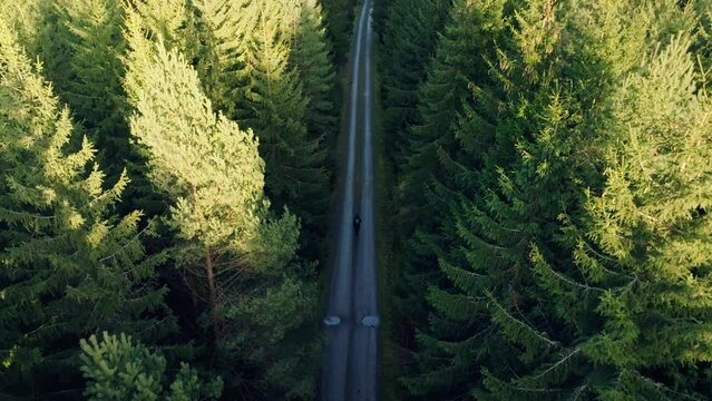"Straight Path" Images – Browse 1,800 Stock Photos, Vectors, and Video ...