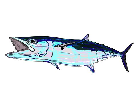 King Mackerel Logo
