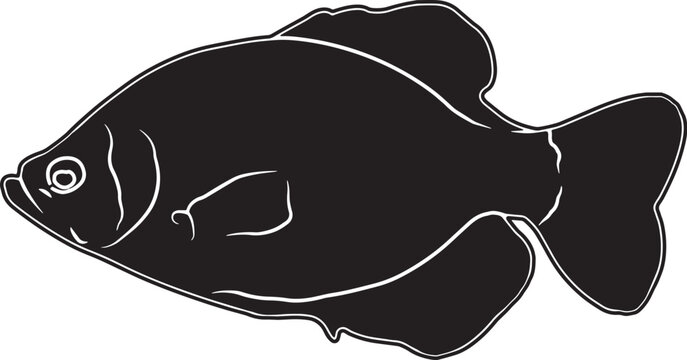 Crappie Outline