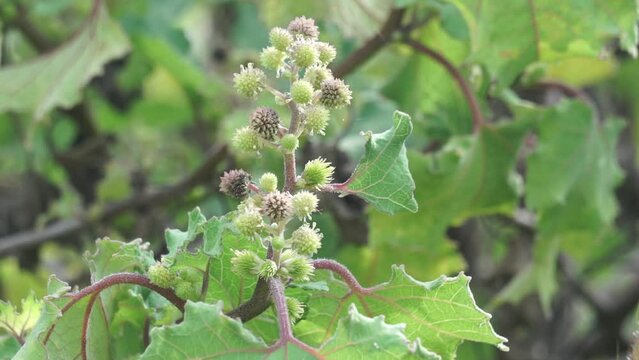 รูปภาพAndi – เลือกดูภาพถ่ายสต็อก เวกเตอร์ และวิดีโอ130 | Adobe Stock