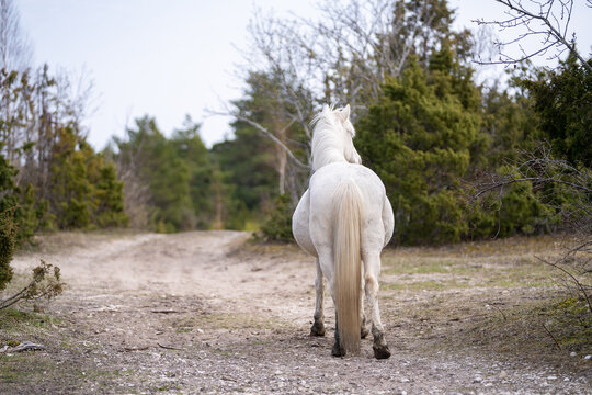 รูปภาพKassari – เลือกดูภาพถ่ายสต็อก เวกเตอร์ และวิดีโอ129 | Adobe Stock