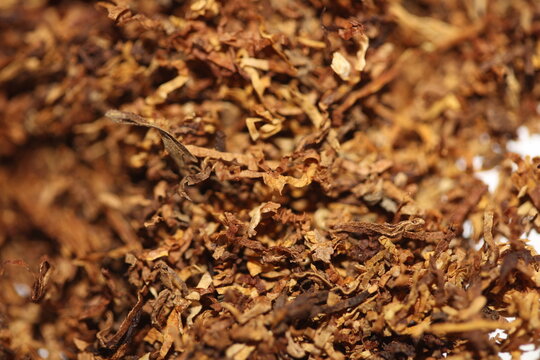 Cigar Paper Texture Bilder – Durchsuchen 1,644 Archivfotos ...