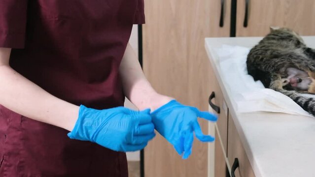 Obrázky Emasculation – procházejte fotografie, vektory a videa 3,376 ...