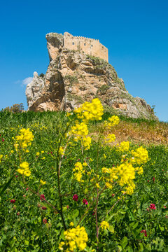 Mussomeli Images – Browse 51 Stock Photos, Vectors, and Video | Adobe Stock