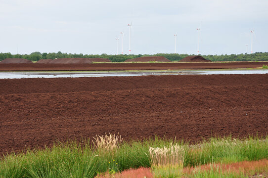 「Wichtiger」の写真素材 | 911件の無料イラスト画像 | Adobe Stock