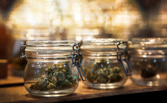 「Marijuana Bar」の写真素材 | 11,467件の無料イラスト画像 | Adobe Stock
