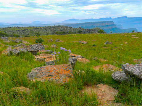 Roundavel Imagens – Procure 1,640 fotos, vetores e vídeos | Adobe Stock