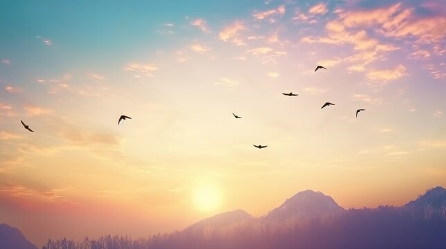 Spring Morning