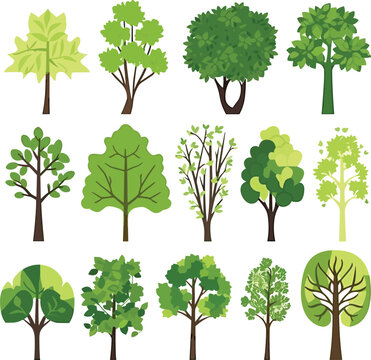 Free Trees Images – Browse 57,689 Free Stock Photos, Vectors, and Video ...