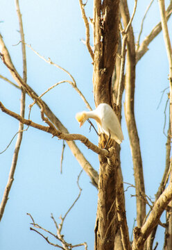 Imágenes de Garsa: descubre bancos de fotos, ilustraciones, vectores y ...