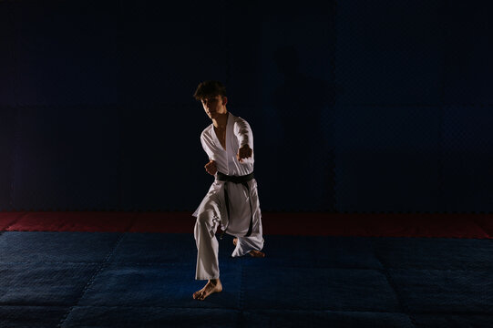 Karatist Images – Browse 33 Stock Photos, Vectors, and Video | Adobe Stock