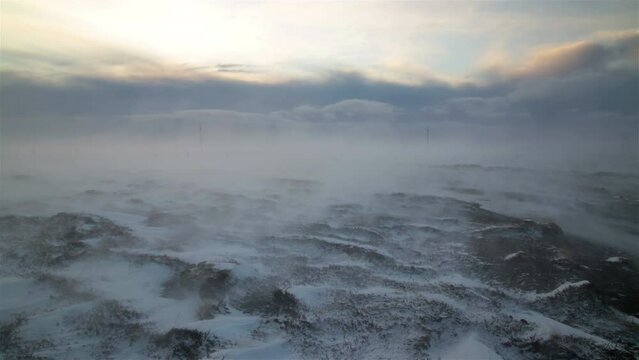 Winter Gale Winds