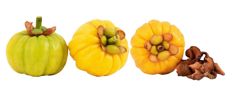 Brindleberry Images – Browse 789 Stock Photos, Vectors, and Video ...