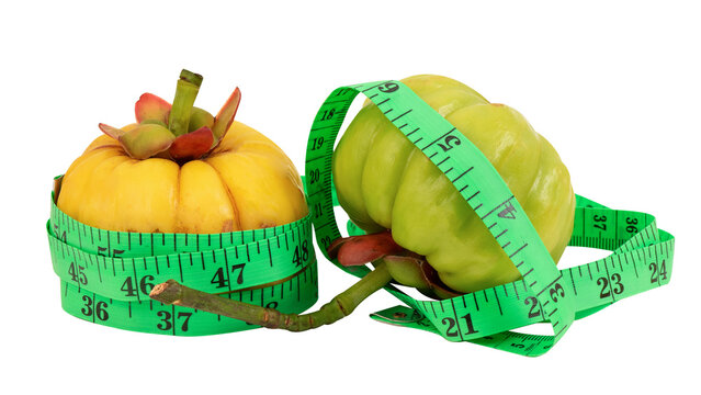 Brindleberry Images – Browse 1,054 Stock Photos, Vectors, and Video ...