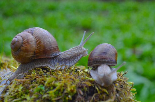 Gfgdfg Images – Browse 2 Stock Photos, Vectors, and Video | Adobe Stock