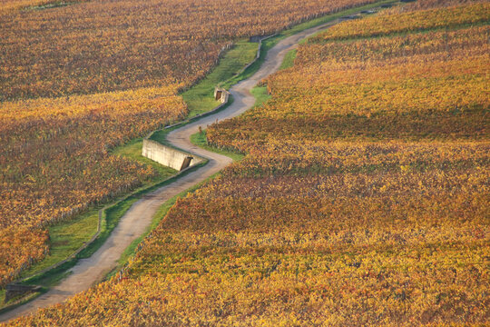 Serpenter Bilder – Durchsuchen 235 Archivfotos, Vektorgrafiken und ...