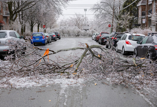รูปภาพVerglas – เลือกดูภาพถ่ายสต็อก เวกเตอร์ และวิดีโอ1,828 | Adobe Stock