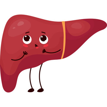 Liver Cartoon Images – Browse 11,025 Stock Photos, Vectors, and Video ...