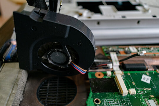 Flix photos, images, assets | Adobe Stock