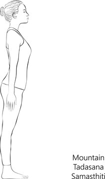 รูปภาพSamasthiti – เลือกดูภาพถ่ายสต็อก เวกเตอร์ และวิดีโอ181 | Adobe Stock