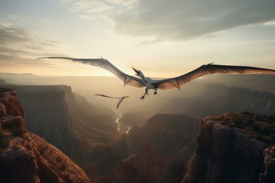 รูปภาพTeradactyl – เลือกดูภาพถ่ายสต็อก เวกเตอร์ และวิดีโอ13,281 | Adobe ...