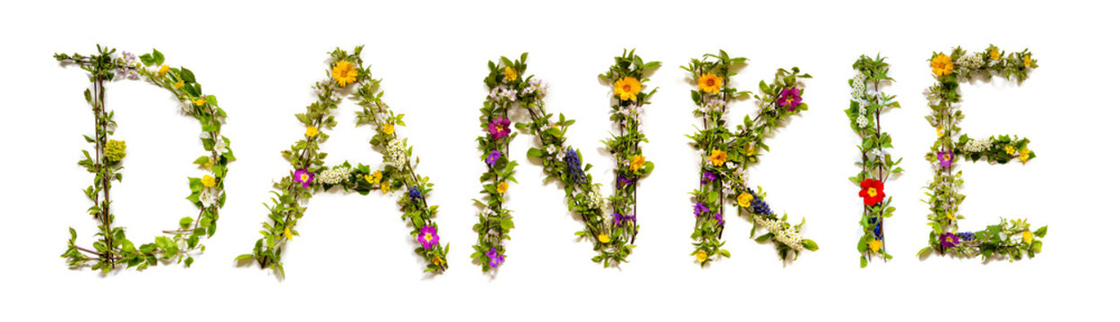 Dankie Images – Browse 19 Stock Photos, Vectors, and Video | Adobe Stock