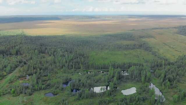 รูปภาพForest-Steppe – เลือกดูภาพถ่ายสต็อก เวกเตอร์ และวิดีโอ1,474 ...