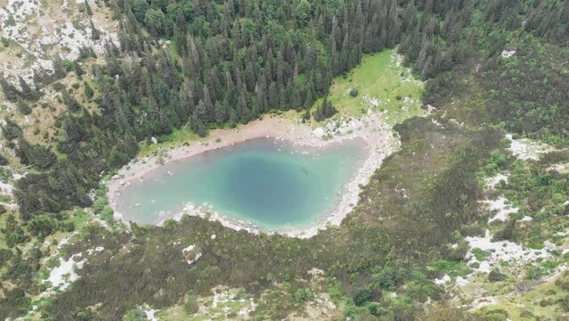 Jablan Bilder – Durchsuchen 35 Archivfotos, Vektorgrafiken und Videos ...