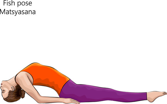 Matsyasana bilder – Bläddra bland 265 stockfoton, vektorer och videor ...